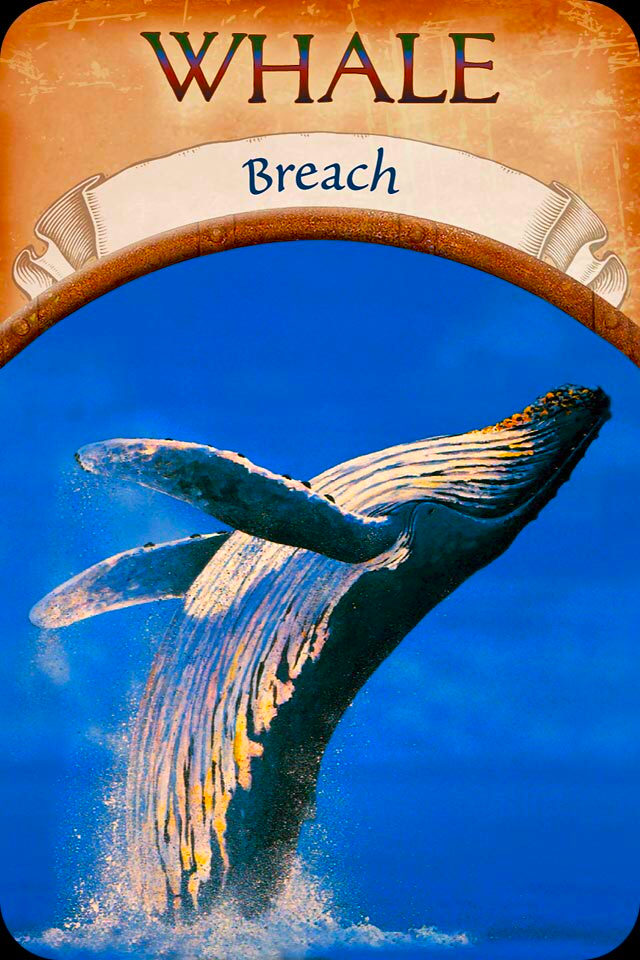 Whale – Archangel Oracle
