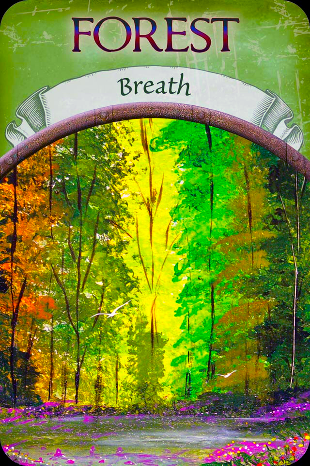 Forest ~ Breathe – Archangel Oracle