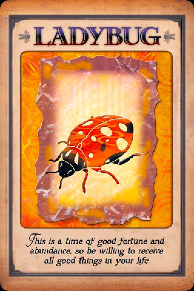 LadyBug – Archangel Oracle