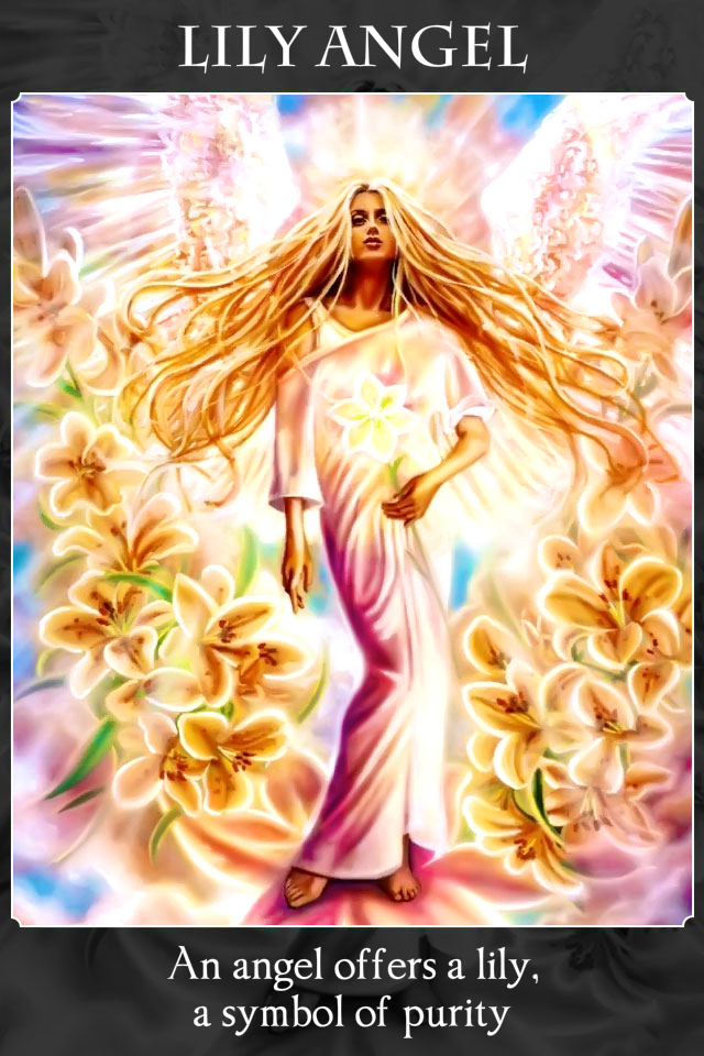 Lily Angel ~An Angelic Presence – Archangel Oracle