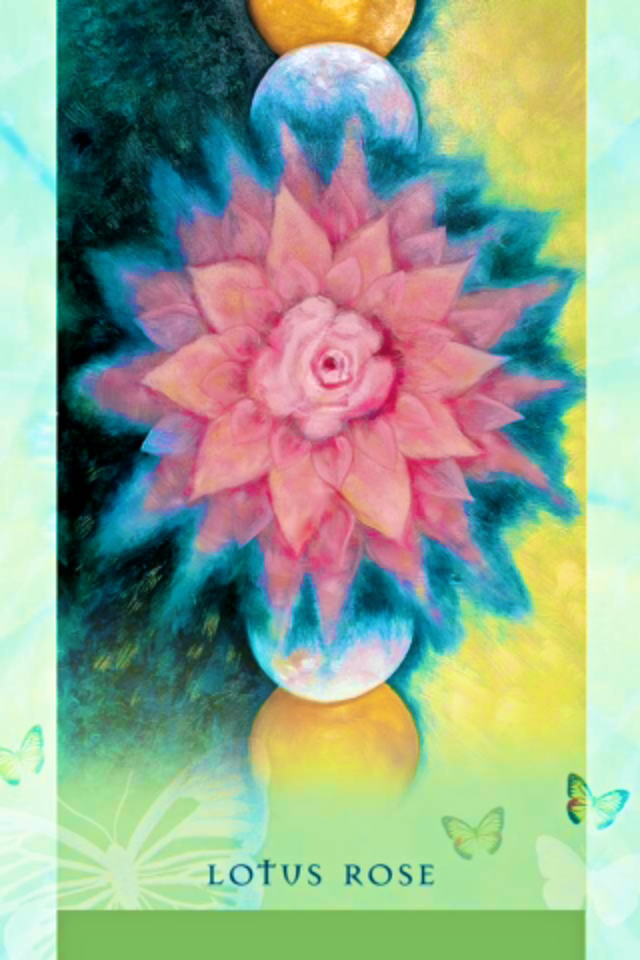 Lotus Rose – Archangel Oracle