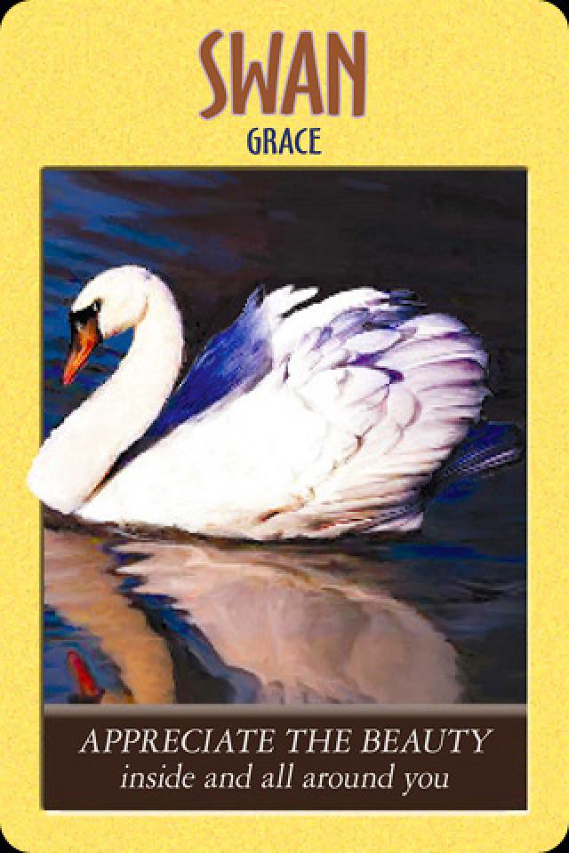 Swan ~ Grace – Archangel Oracle