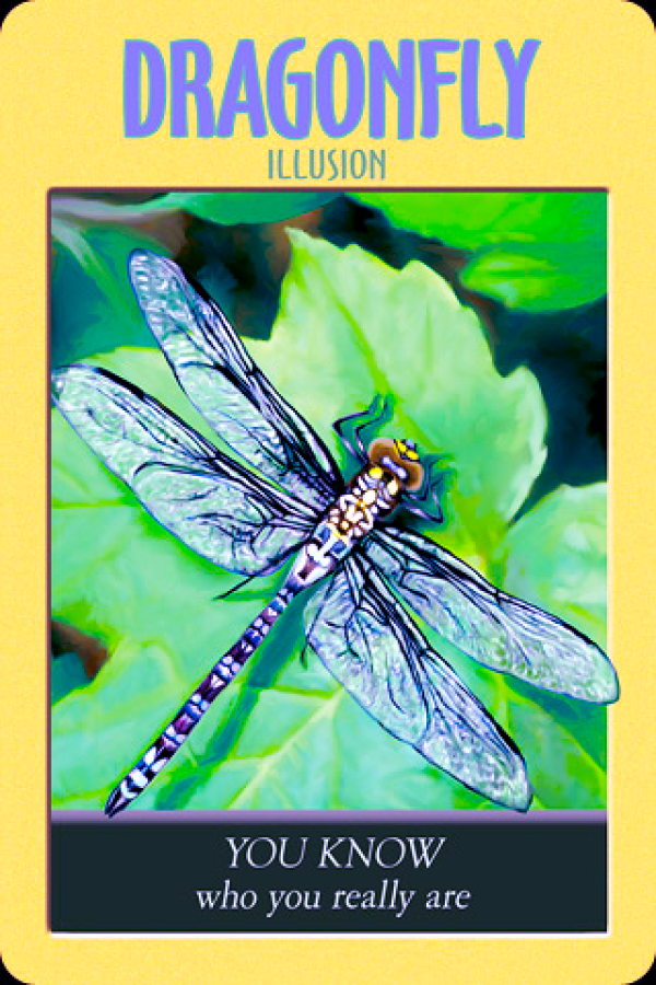 Dragonfly ~ Illusion – Archangel Oracle