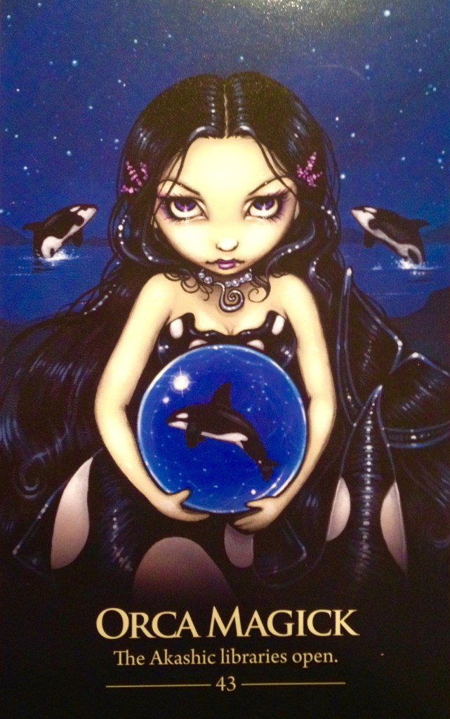Orca Magick – Archangel Oracle