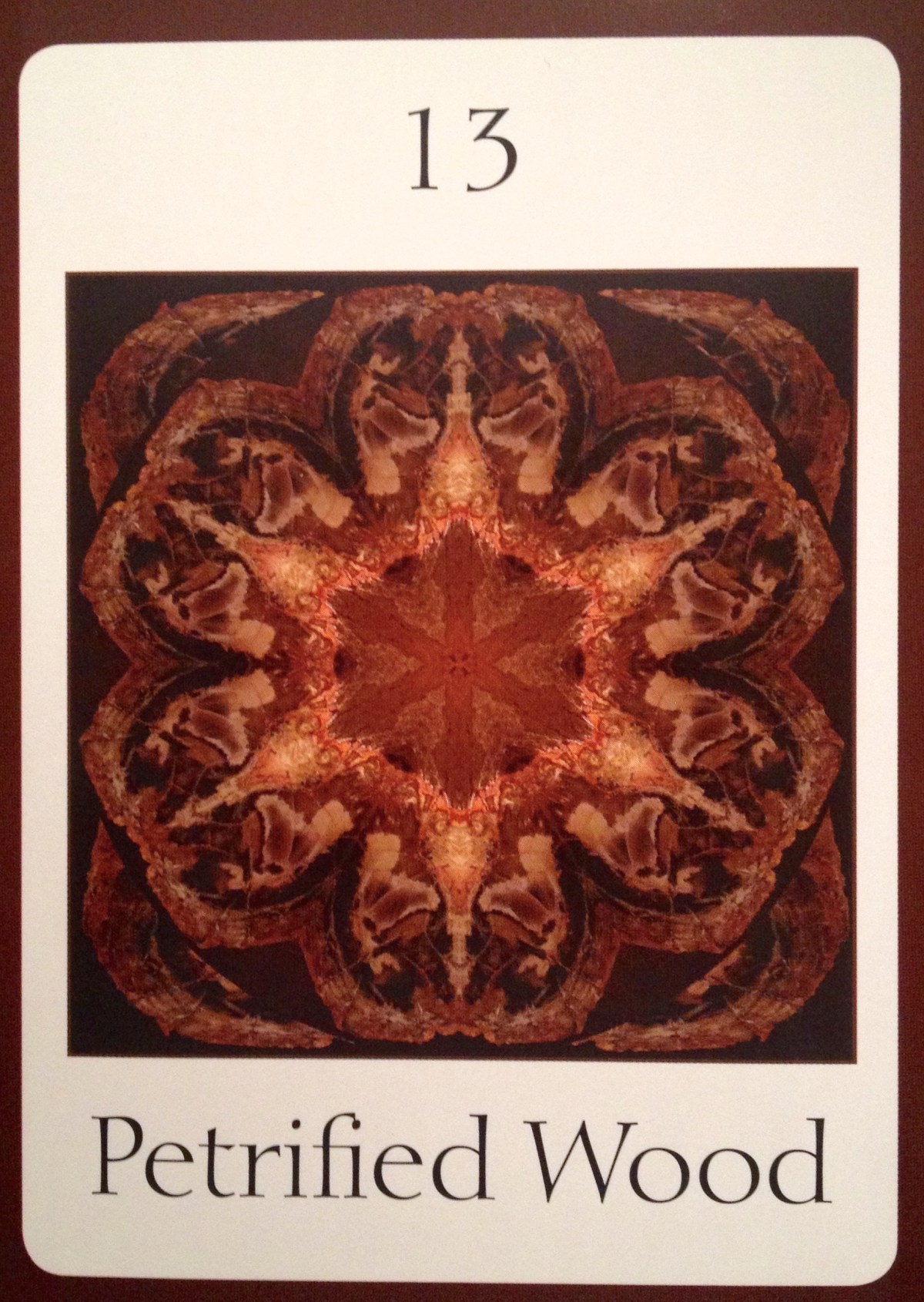 Petrified Wood ~ Earth Walk – Archangel Oracle