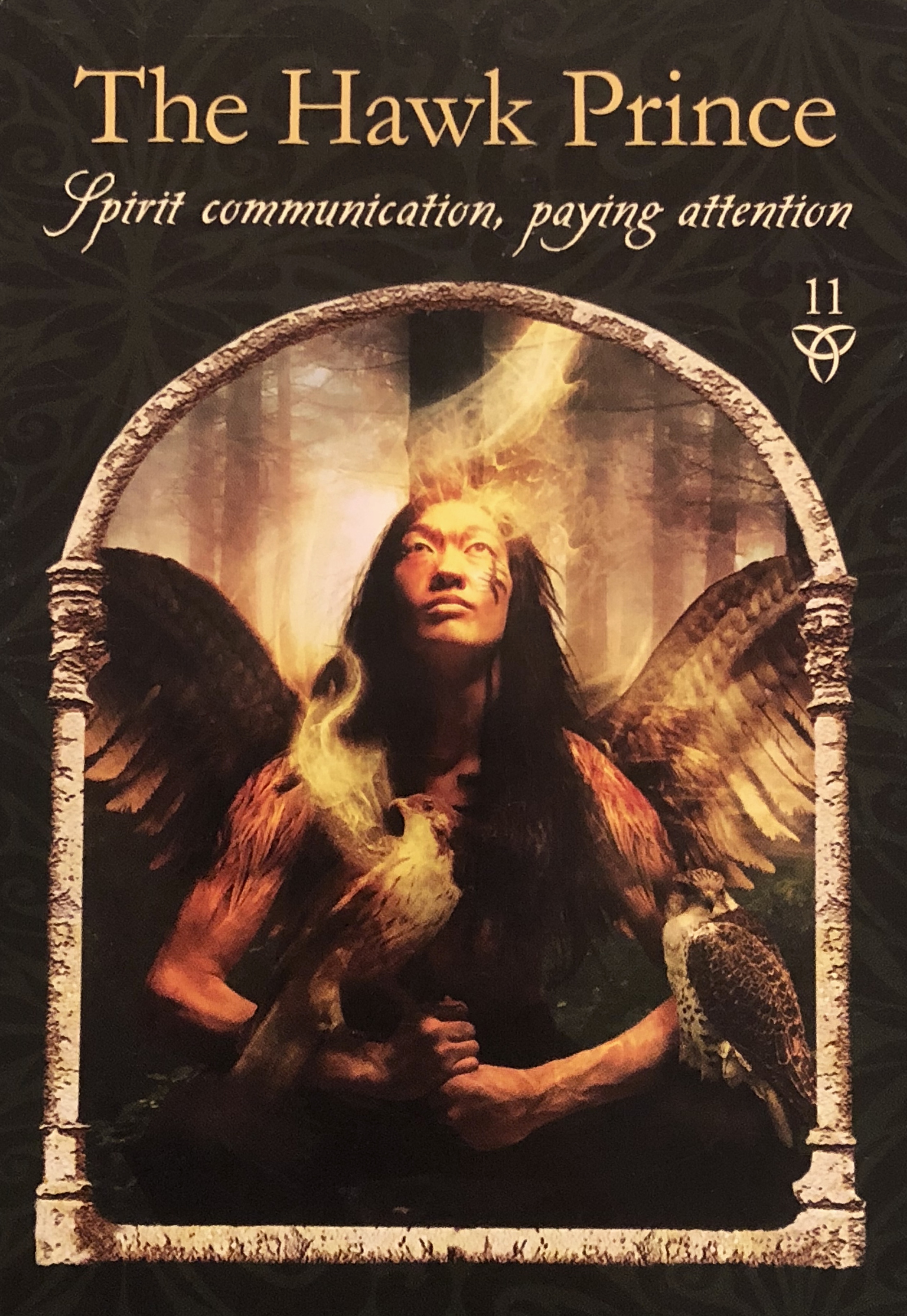 The Hawk Prince – Archangel Oracle
